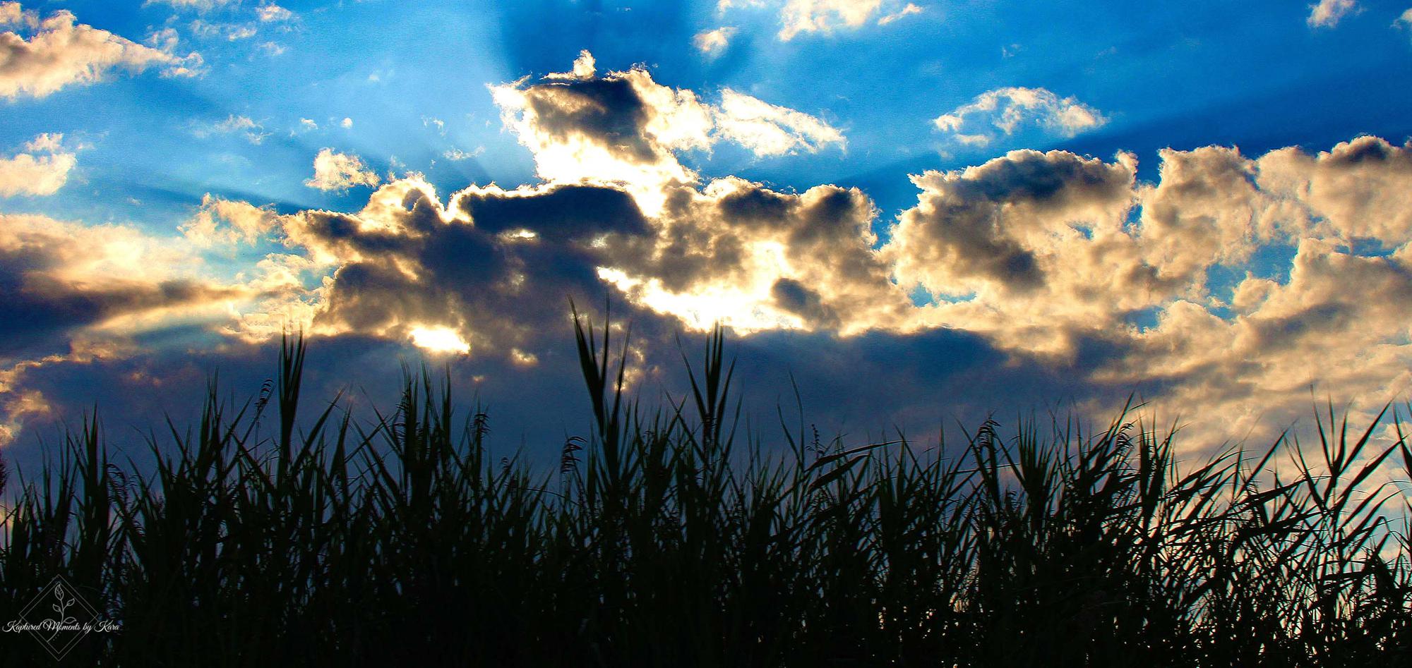 The Official Website of the City of Algonac Michigan - home